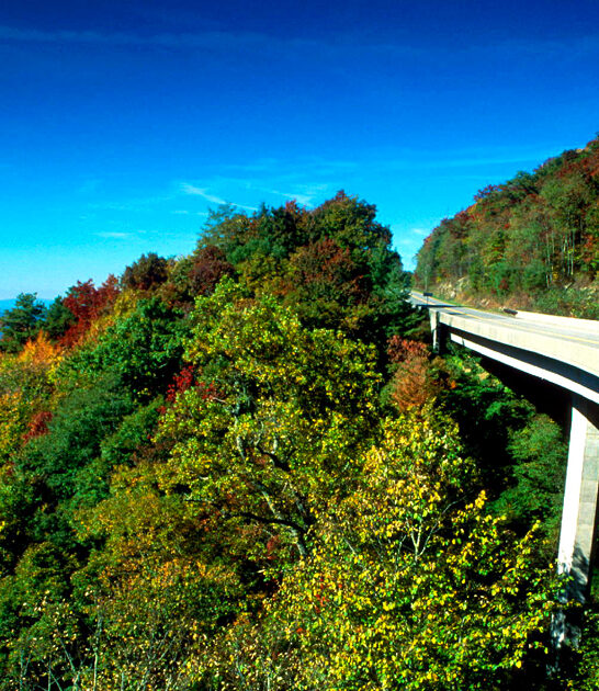 scenic drive north carolina ftr