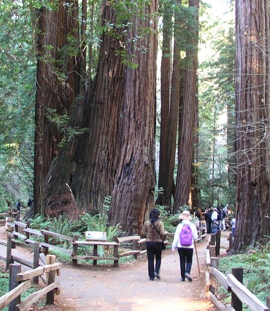 scenic easy trail california ftr