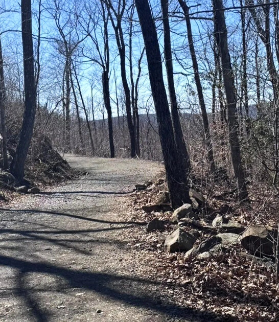 scenic easy trail connecticut ftr