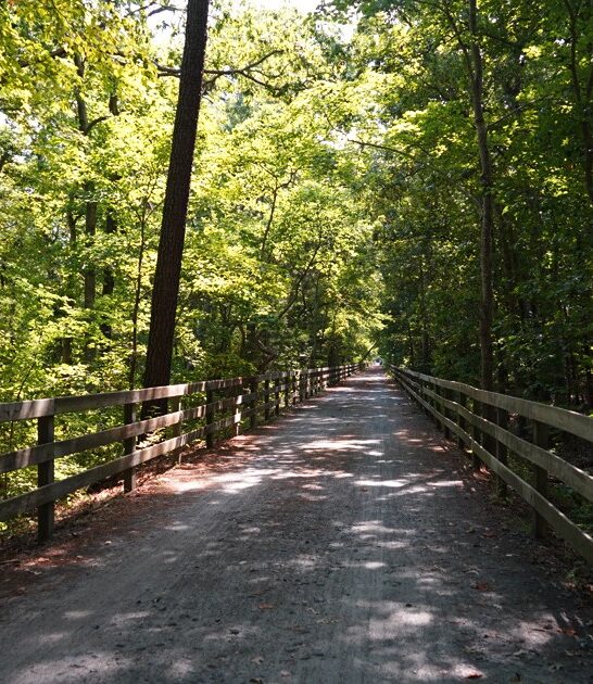 scenic easy trail delaware ftr