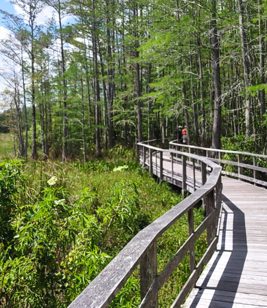 scenic easy trail florida ftr