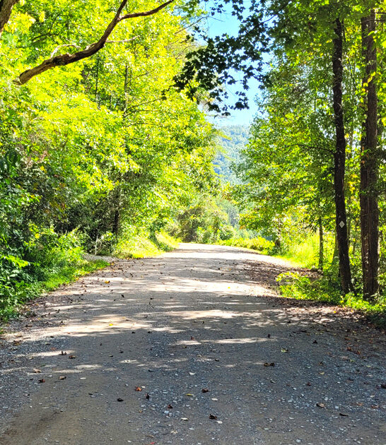 scenic easy trail georgia ftr