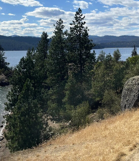 scenic easy trail idaho ftr