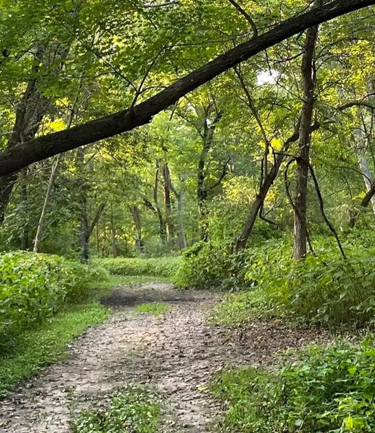 scenic easy trail iowa ftr
