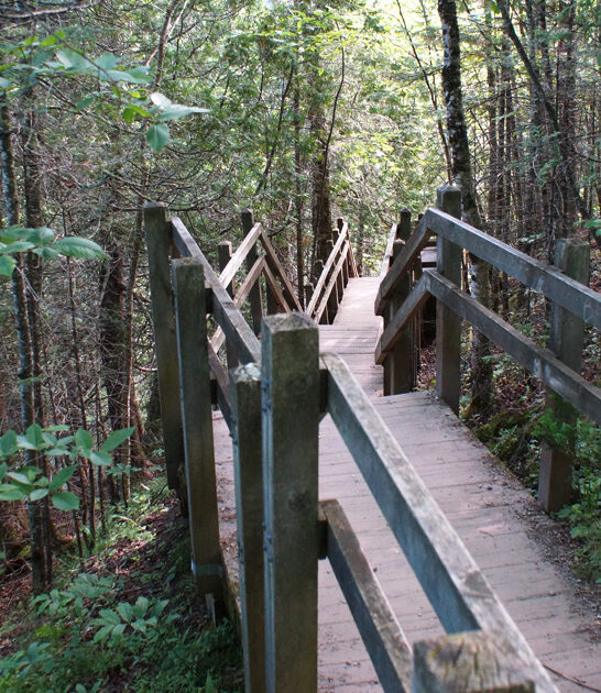 scenic easy trail michigan ftr