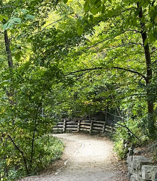 scenic easy trail minnesota ftr