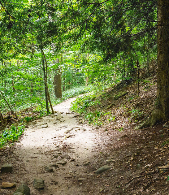 scenic easy trail ohio ftr