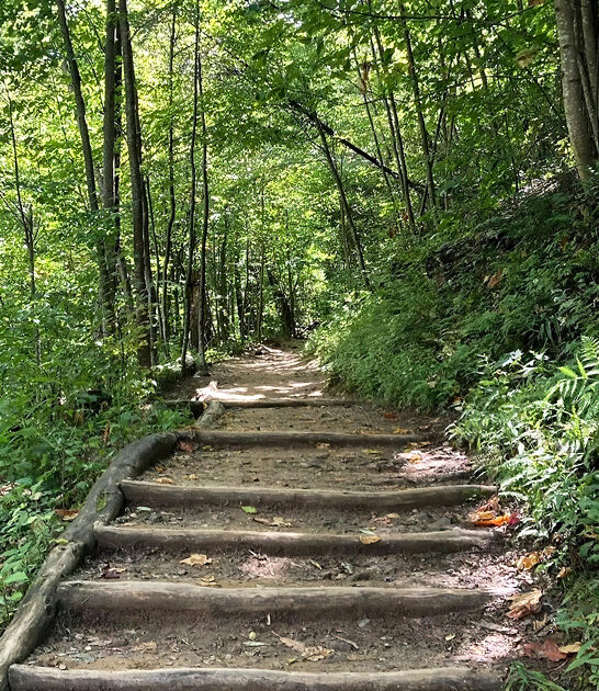 scenic easy trail tennessee ftr