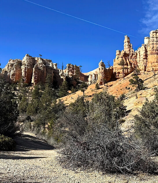 scenic easy trail utah ftr