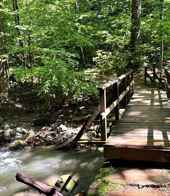scenic easy trail virginia ftr