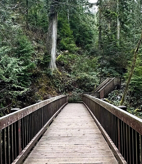 scenic easy trail washington ftr