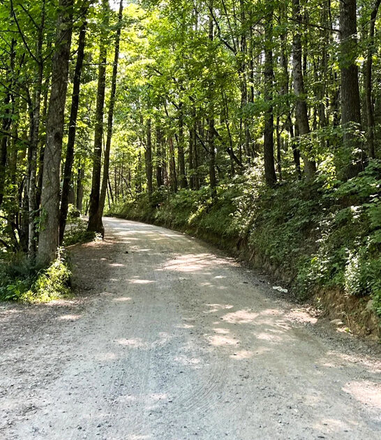 scenic hike georgia ftr