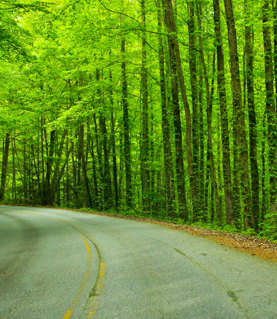 scenic mile drive georgia ftr