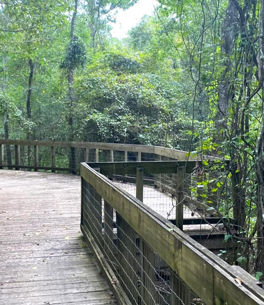 scenic perfect trail louisiana ftr