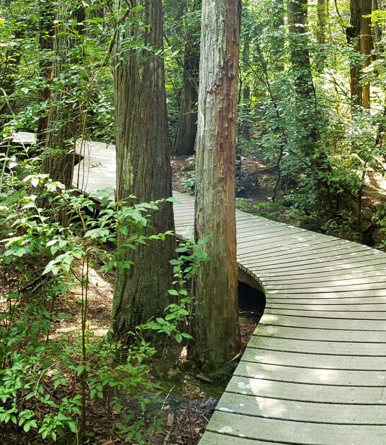 scenic perfect trail massachusetts ftr