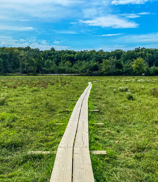 scenic trail new jersey ftr