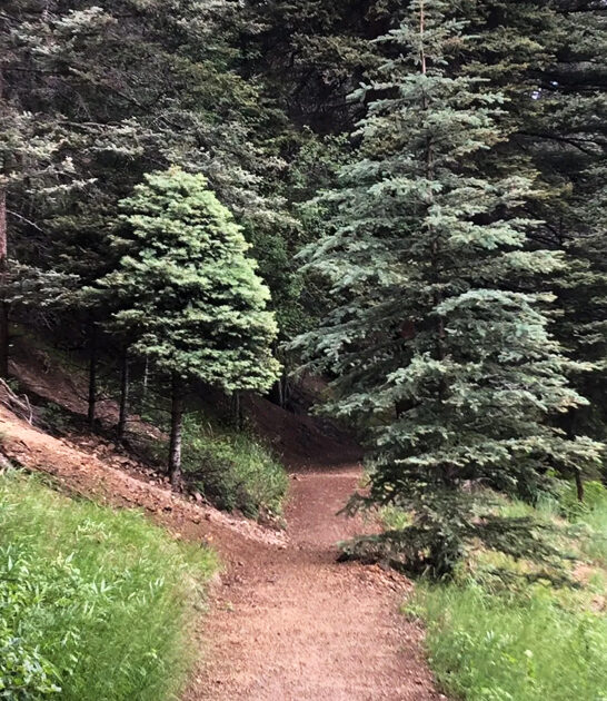 scenic trail new mexico ftr
