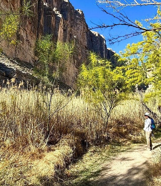 scenic trail texas ftr