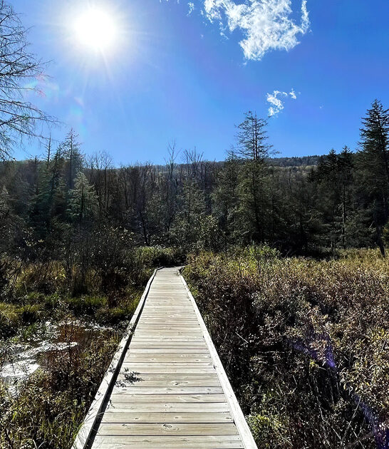scenic trail west virginia ftr