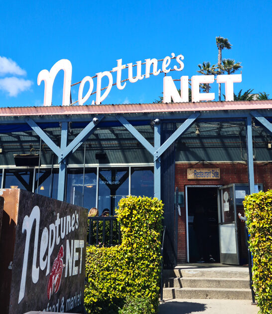 seafood california sweetest treat ftr