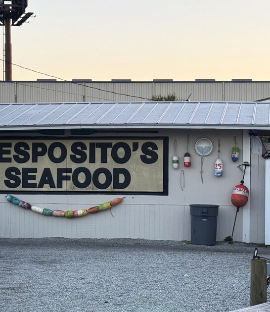 seafood georgia restaurant ftr