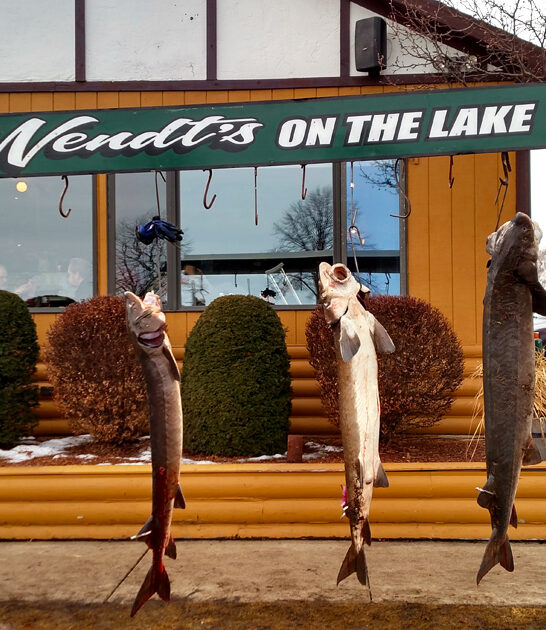 seafood no frills wisconsin ftr