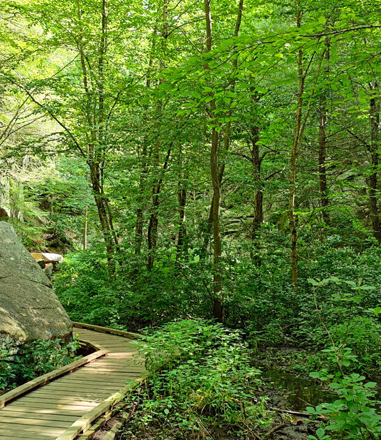 secret beautiful park massachusetts ftr