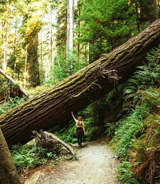 short easy hike california ftr