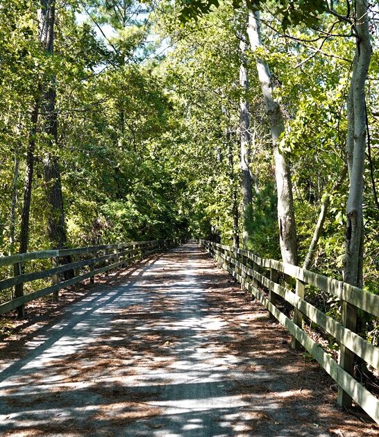 short easy hike delaware ftr