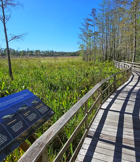 short easy hike florida ftr