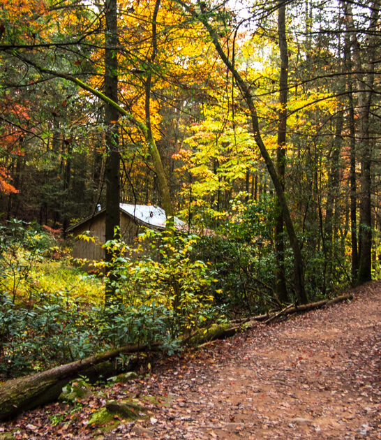 short-easy-hike-georgia-ftr
