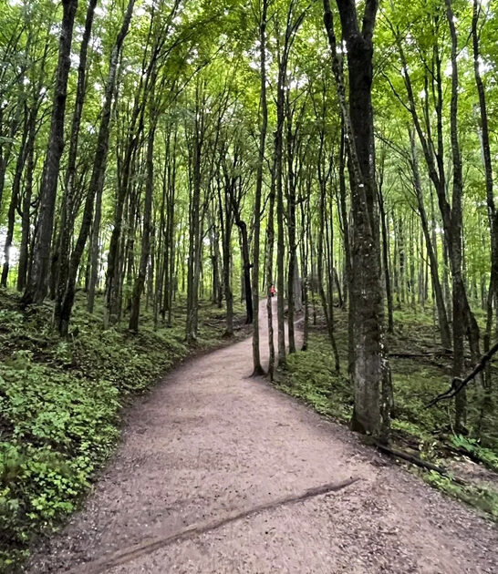 short easy hike michigan ftr