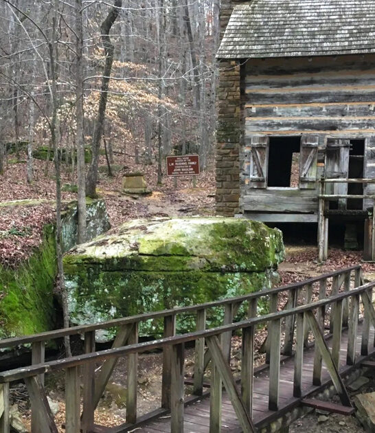 short easy hike mississippi ftr