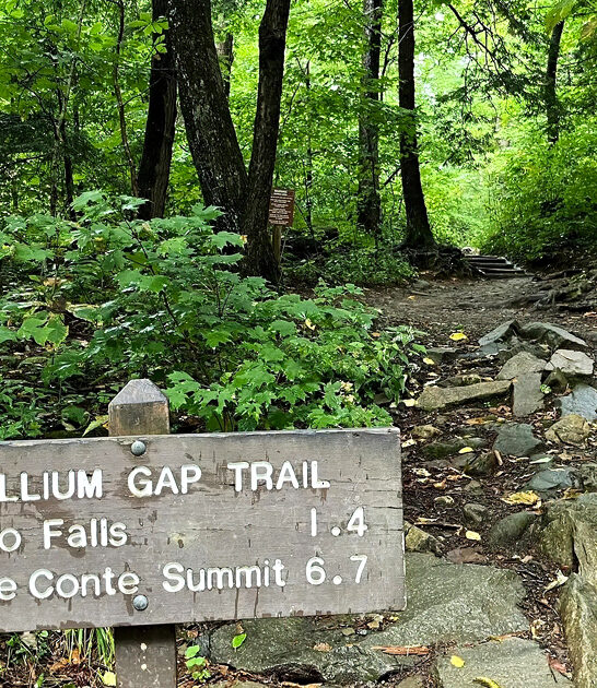 short easy hike tennessee ftr