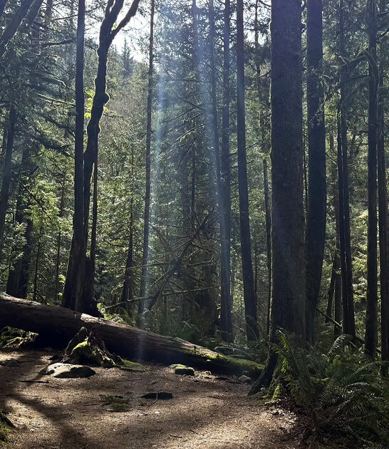 short easy hike washington ftr