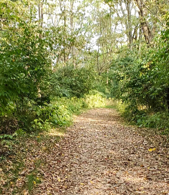 short easy iowa hike ftr