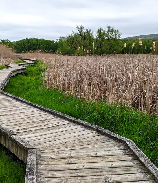 short hike new jersey ftr
