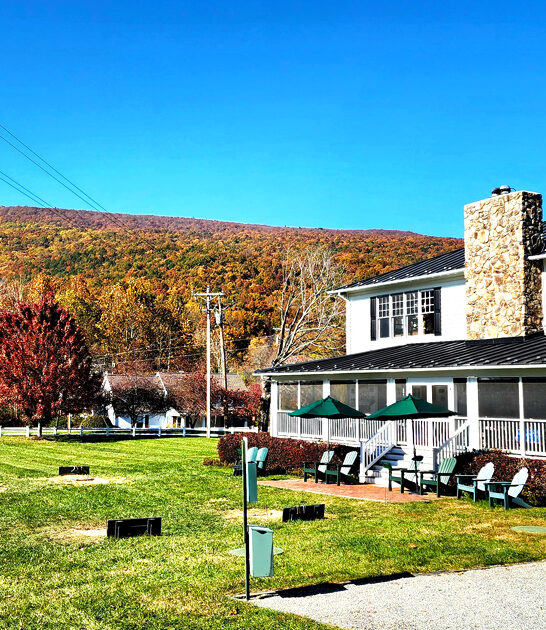 small town virginia steaks ftr