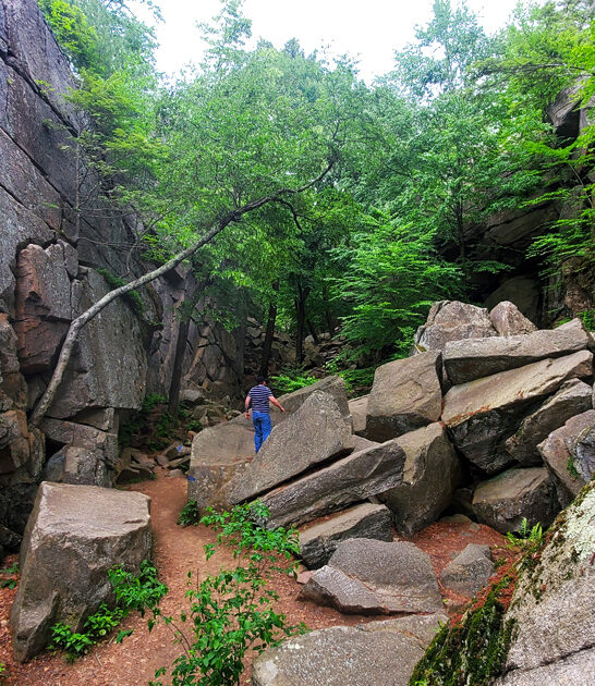 solitude state park massachusetts ftr