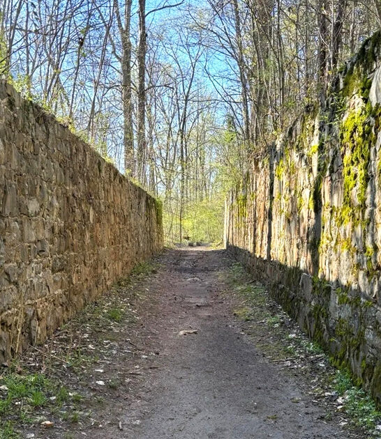 south carolina picturesque trail ftr