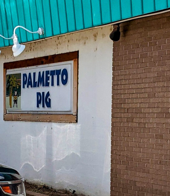 south carolina trips sandwich ftr