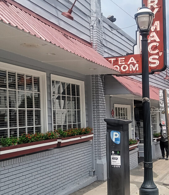 southern fried chicken georgia ftr