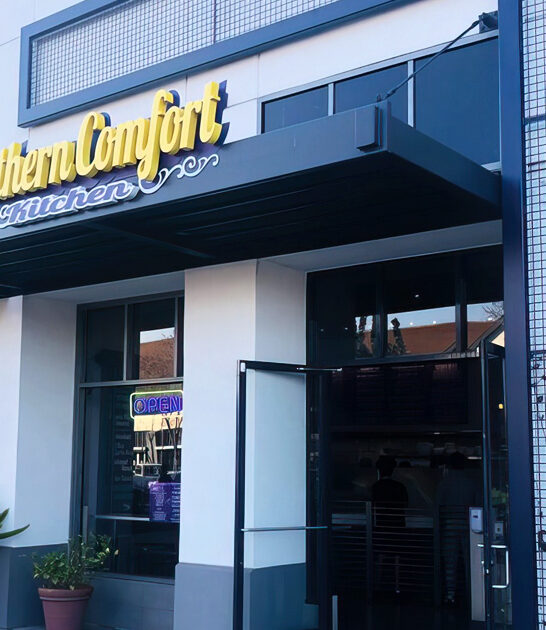 southern style california chicken ftr