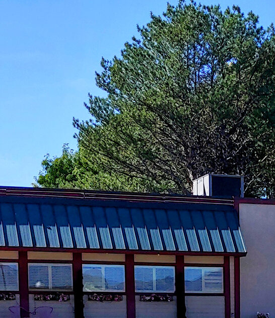 spaghetti utah restaurant ftr