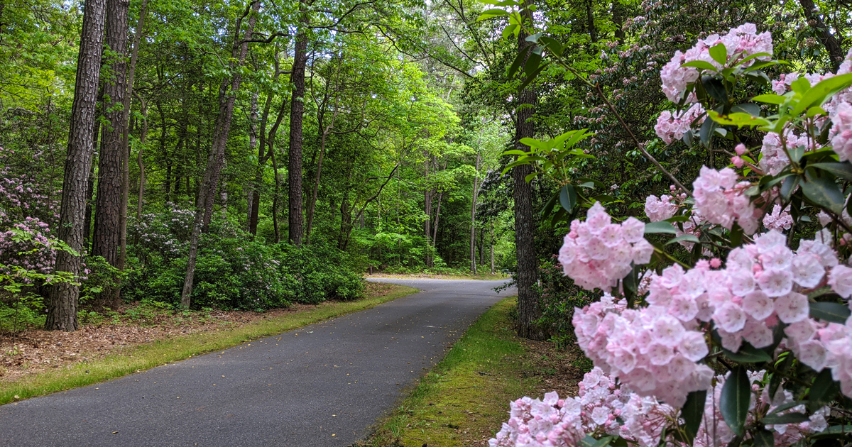 This Tiny State Park In Maryland Might Just Be The Spring Break Trip Of ...