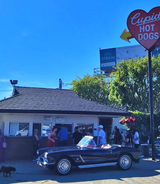 spring california joint ftr