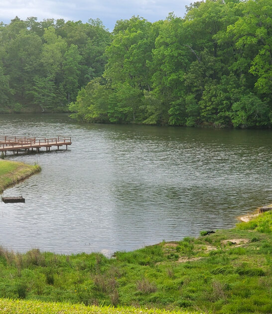 spring day trip mississippi ftr