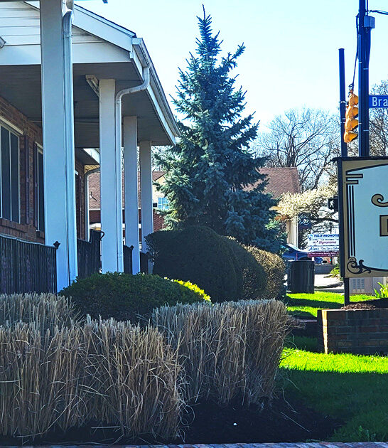 spring donut shop ohio ftr