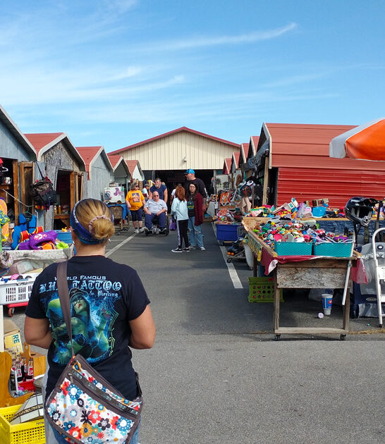 spring enormous bazaars tennessee ftr