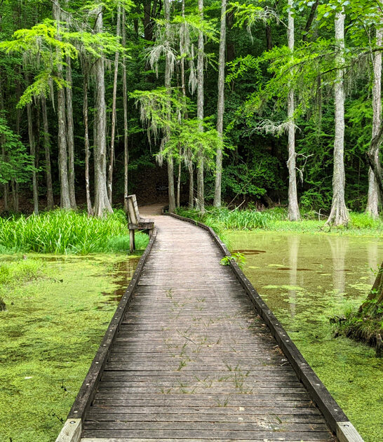 spring park north carolina ftr